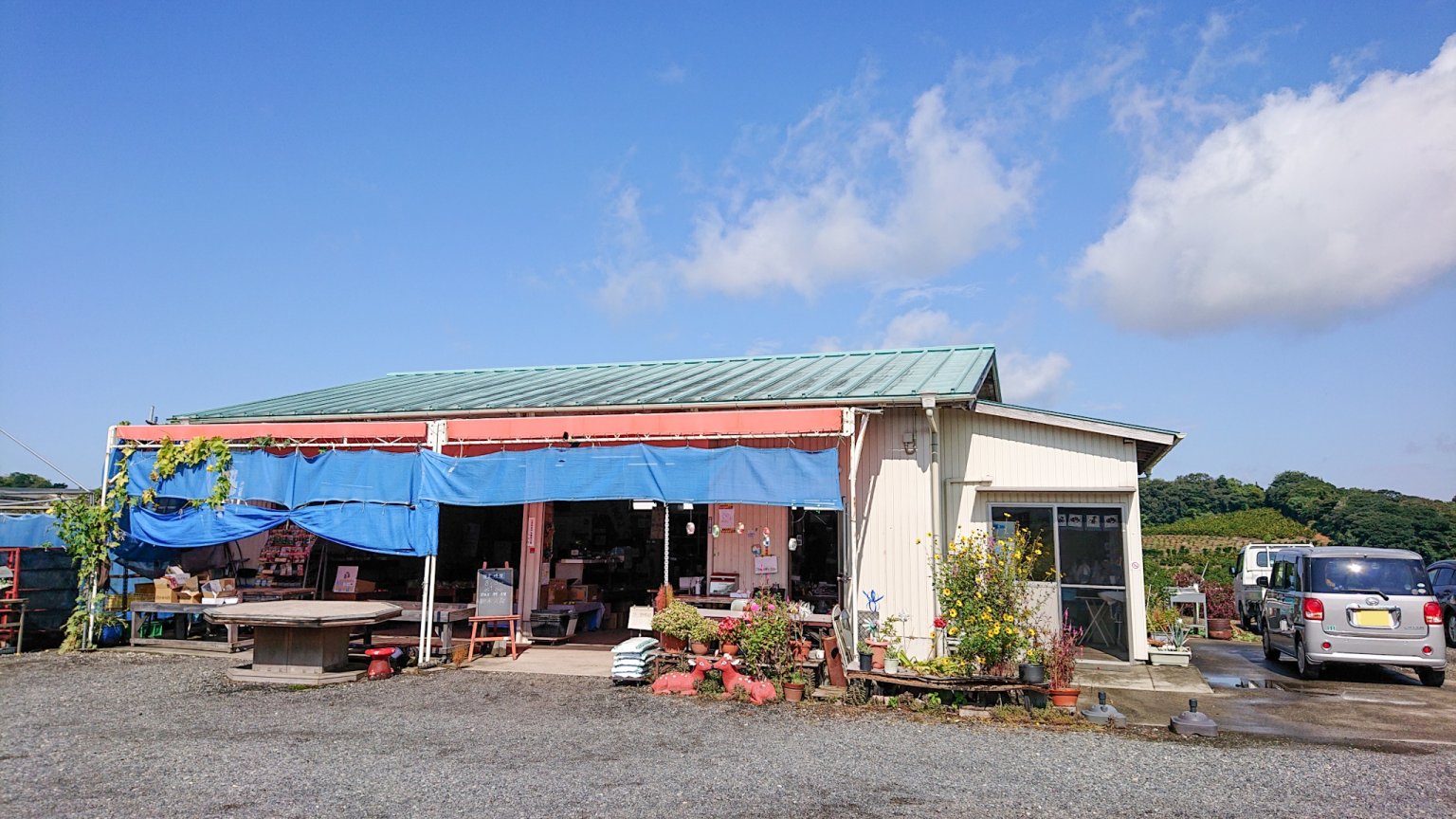 なんでだろう？Yahooショッピングや楽天市場で頼んだ商品が、Amazonから送られてくるのなんでだろう？ | ワタナベミツテルのREPORT800.COM オモシロ記事工場